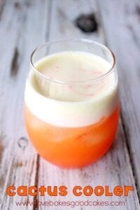 Cactus Cooler - Love Bakes Good Cakes