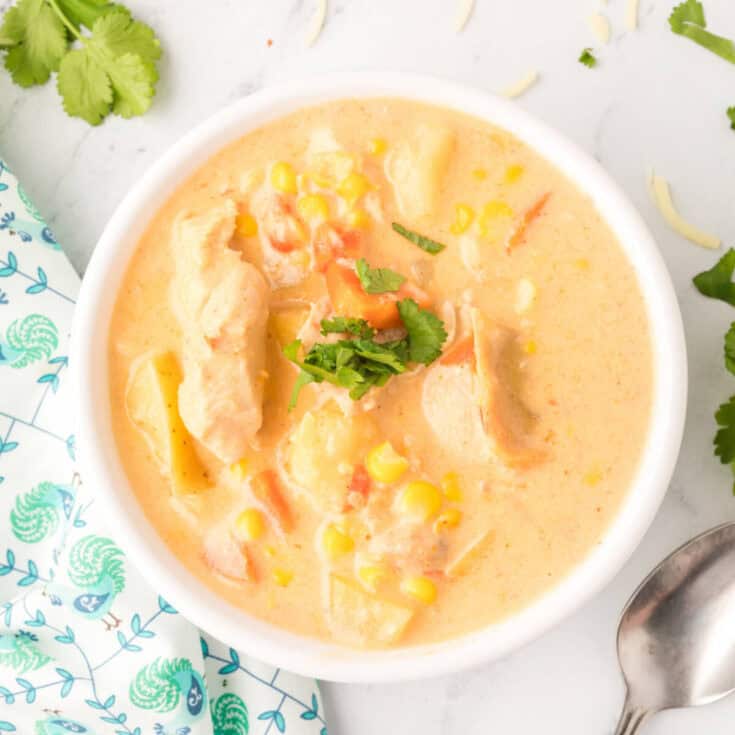 Mexican Chicken & Corn Chowder - Love Bakes Good Cakes