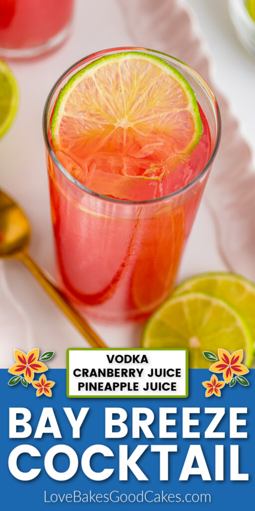 Bay Breeze Cocktail - Love Bakes Good Cakes