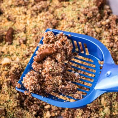 Kitty Litter Cake - Love Bakes Good Cakes