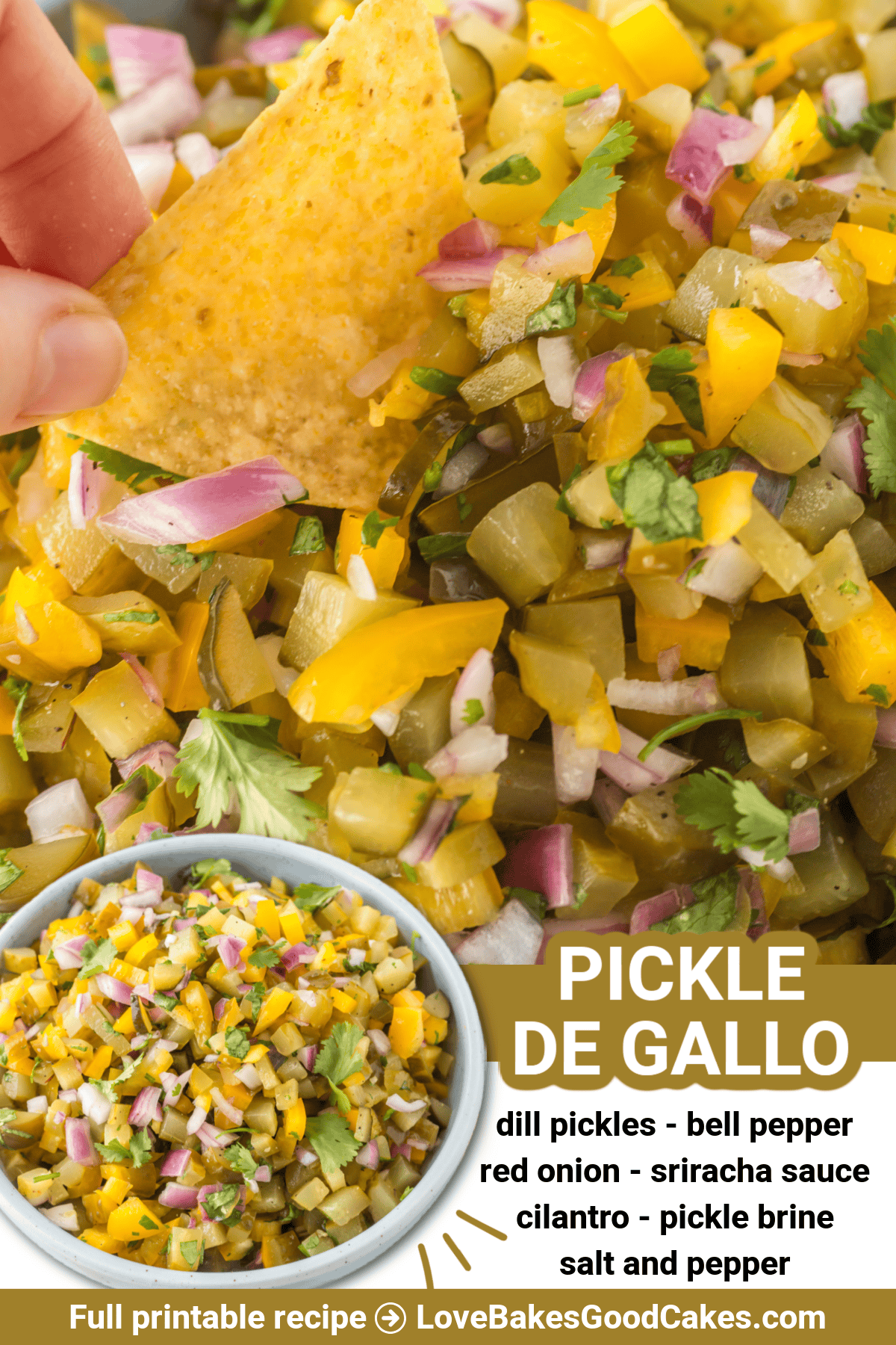 Pickle de Gallo - Love Bakes Good Cakes